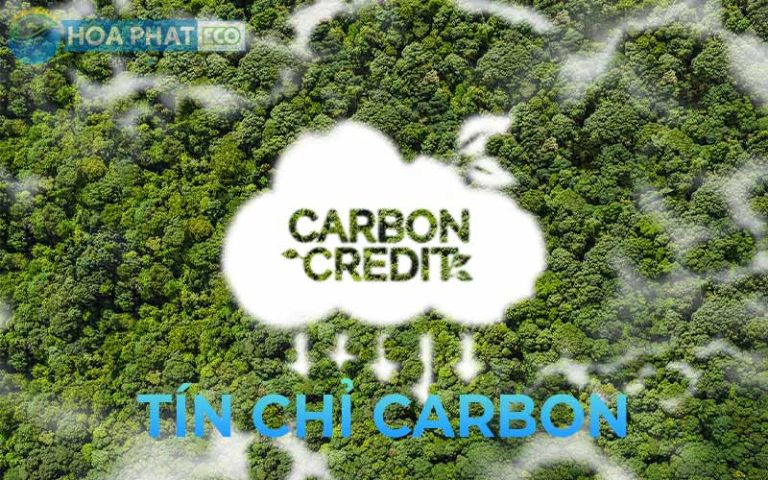 Tổng Quan Về Tín Chỉ Carbon | Quy Trình Cấp Tín Chỉ Carbon
